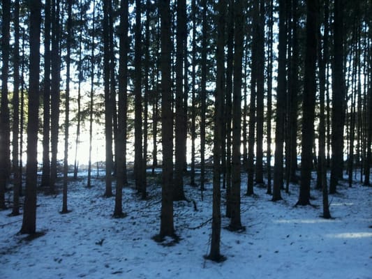 GLACIER HILLS PARK - Updated December 2025 - 13 Photos - 1664 Friess ...