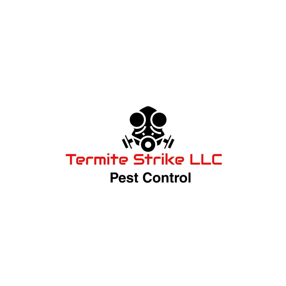 TERMITE STRIKE - Updated October 2025 - 20 Photos - Miami, Florida ...
