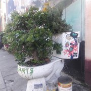 BALMY STREET MURALS - 875 Photos & 115 Reviews - Public Art - 1-100 ...