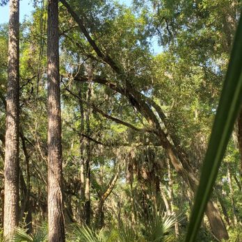 PINCKNEY ISLAND NATIONAL WILDLIFE REFUGE - Updated December 2025 - 210 ...