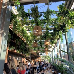 BARO - Updated August 2025 - 387 Photos & 214 Reviews - 485 King Street ...