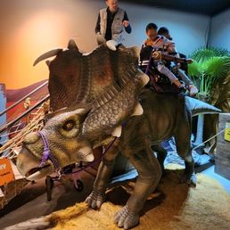 DINOSAUR OUTPOST - Updated August 2025 - 44 Photos & 25 Reviews - 6569 ...