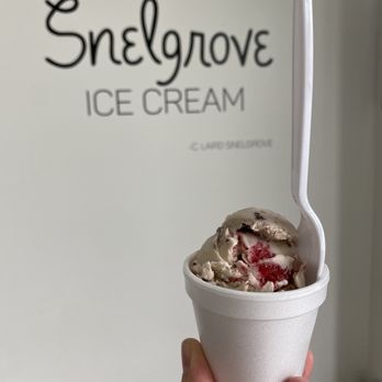 SNELGROVE ICE CREAM - Updated September 2024 - 61 Photos & 28 Reviews ...