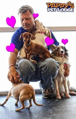 PAPPY’S PET LODGE - Updated August 2025 - 29 Photos & 46 Reviews - 401 ...