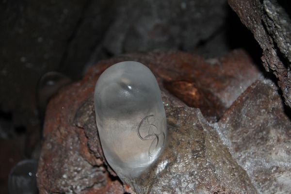 ARNOLD ICE CAVE - Updated August 2025 - 11 Photos - Bend, Oregon ...