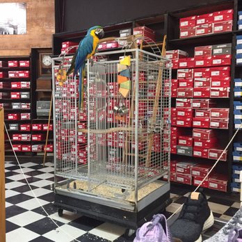 STOUT’S FOOTWEAR - Updated July 2025 - 60 Photos & 68 Reviews - 318 ...