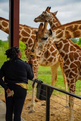 BLUE HILLS RANCH - Updated December 2025 - 260 Photos & 85 Reviews ...