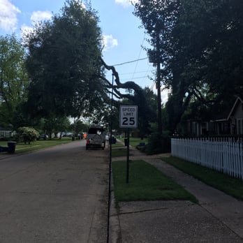 ABC PROFESSIONAL TREE SERVICES - Updated July 2024 - 10 Photos & 18 ...