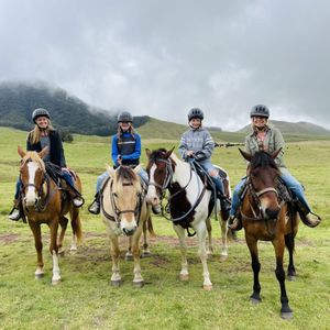 NA’ALAPA STABLES - 182 Photos & 98 Reviews - 59-564 Kohala Mountain Rd ...
