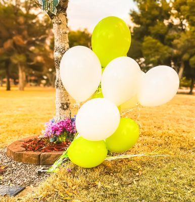 Reviews of SUNSET PARK - Updated September 2024 - 1038 Photos & 350 ...