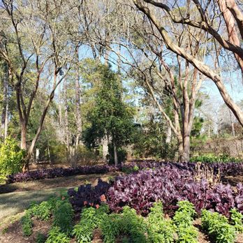 FRIENDS OF MERCER BOTANIC GARDEN - THE MERCER SOCIETY - Updated ...