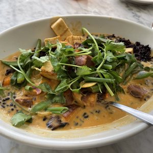 TRUE FOOD KITCHEN - 1416 Photos & 1116 Reviews - 222 W Ave, Austin, TX ...