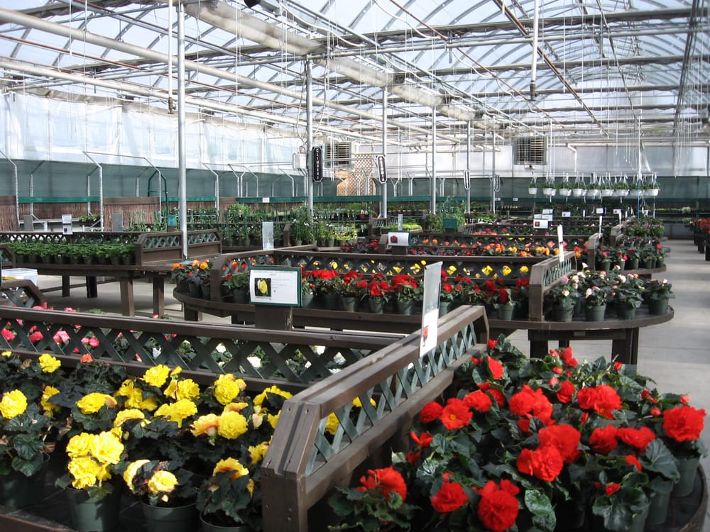 THE ROOT SELLER - Updated December 2024 - 16735 Zaychuk Road, Edmonton ...