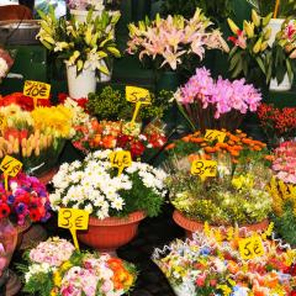 Flower Delivery Lorain Ohio | Best Flower Site