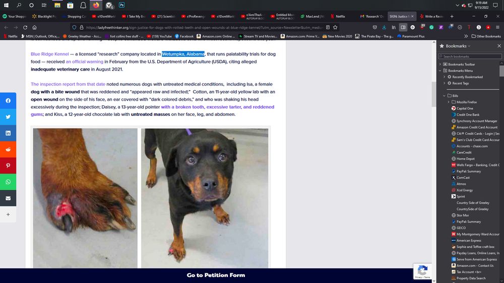 BLUE RIDGE KENNEL - Updated November 2025 - 2934 Rifle Range Rd ...