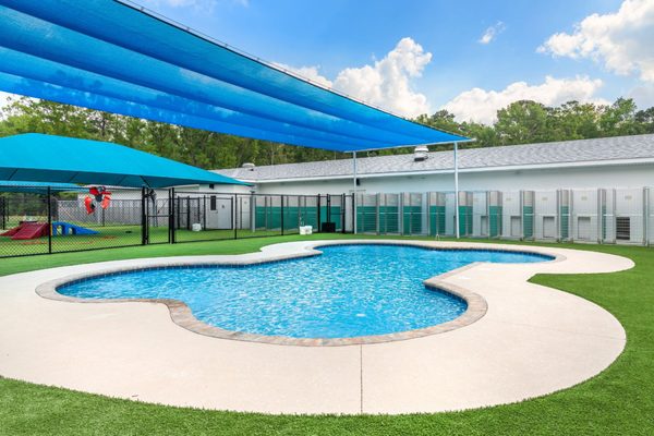 PET PARADISE POOLER - Updated January 2026 - 17 Photos - 900 Clear Lake ...