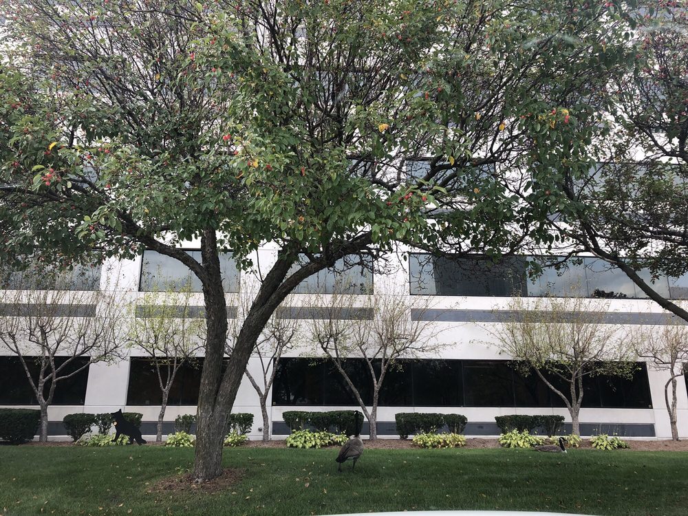 HANTZ GROUP - 11 Reviews - 26200 American Dr, Southfield, Michigan ...