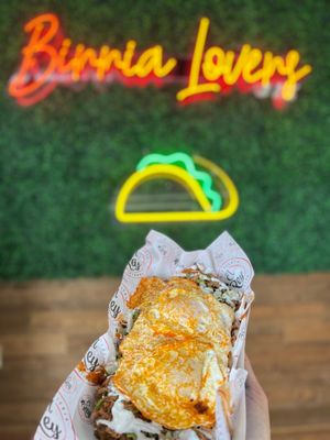 BIRRIA EL REY - Updated November 2024 - 328 Photos & 247 Reviews - 1015 ...