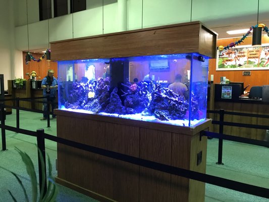 EDFED - Updated December 2025 - 10 Photos & 21 Reviews - 7800 SW 117th ...