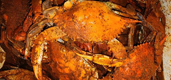 THE CRAB PLACE - Updated April 2026 - 108 Photos & 140 Reviews - 504 ...