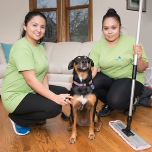 CHECK MAID CLEANING SERVICES - 21 Photos & 34 Reviews - 3355 N Hamilton ...