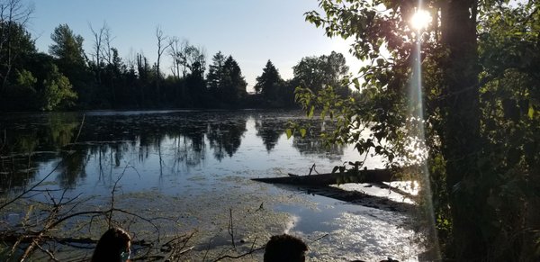WHITAKER PONDS NATURE PARK - Updated May 2025 - 32 Photos - 7040 NE ...