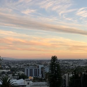 BEN LEEDS PROPERTIES - 54 Photos & 342 Reviews - 3385 Overland Ave, Los ...