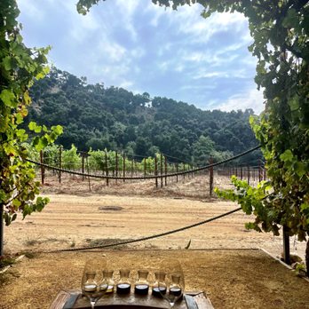 OLD CREEK RANCH WINERY - 476 Photos & 243 Reviews - 10024 Old Creek Rd ...