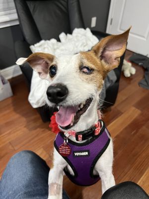 MERCY FULL PROJECT - Updated November 2025 - 31 Photos & 26 Reviews ...