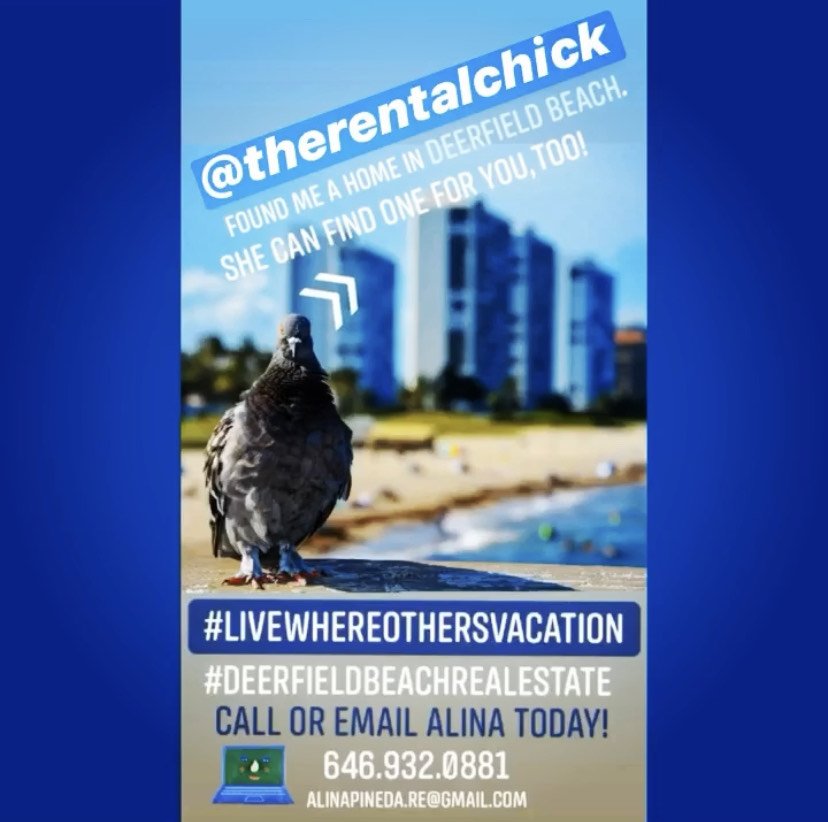 THE RENTAL CHICK OF BOCA, DEERFIELD AND DELRAY - Updated October 2025 ...