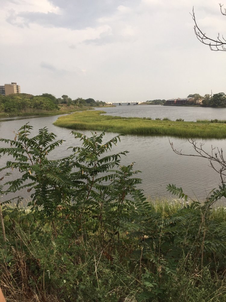 SPRING CREEK - Updated May 2024 - 660 Louisiana Ave, Brooklyn, New York ...