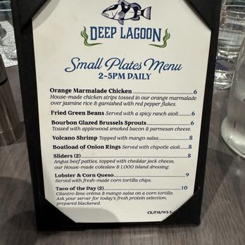 DEEP LAGOON WATERSIDE LAKEWOOD RANCH - Updated July 2025 - 77 Photos ...