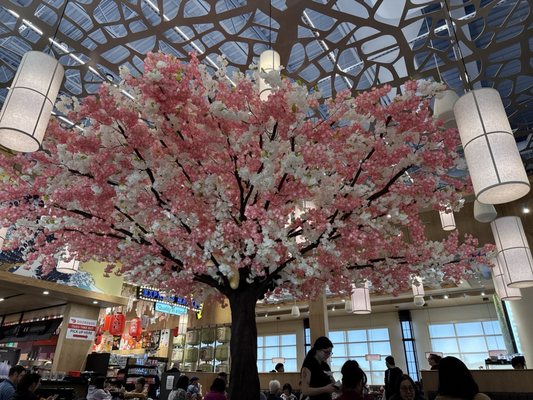 KINJO SUSHI & GRILL - Updated June 2025 - 38 Photos - 1739 102 Street ...