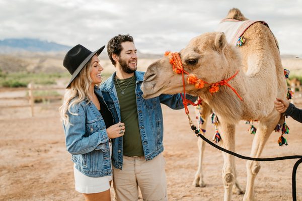CAMEL SAFARI - Updated June 2024 - 387 Photos & 55 Reviews - 2725 River ...