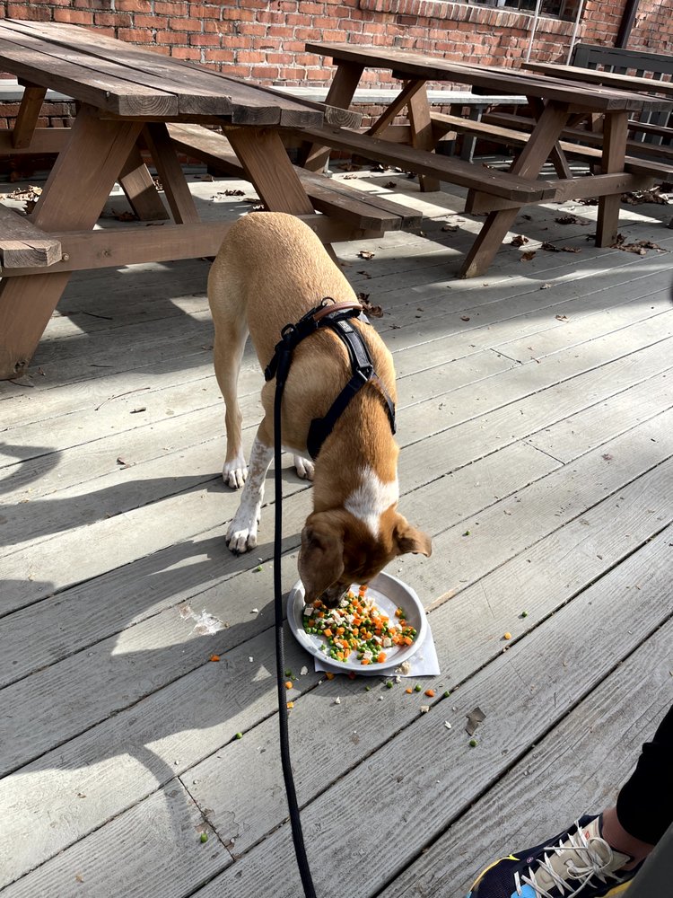 FROG LEVEL BREWING - Updated December 2025 - 240 Photos & 178 Reviews ...