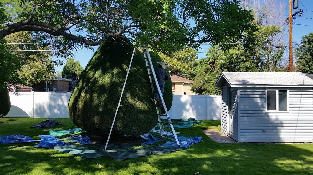 COWBOY LANDSCAPING - Updated October 2025 - 52 Photos - Westminster ...