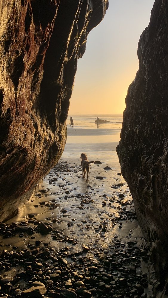 HUG POINT STATE RECREATION SITE - 197 Photos & 53 Reviews - Parks ...