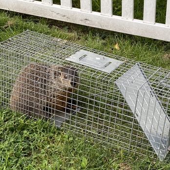 CATCH A CRITTER - Updated October 2025 - 19 Photos - 23500 Mercantile ...
