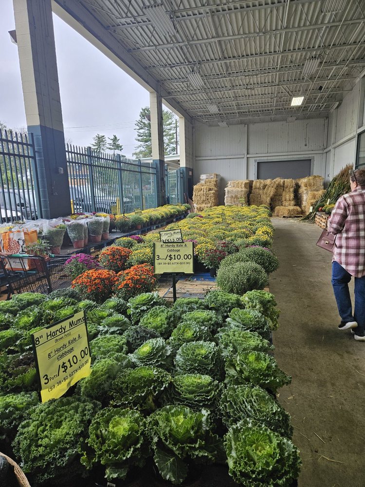 PRODUCE JUNCTION - Updated December 2025 - 10 Photos & 38 Reviews - 14 ...