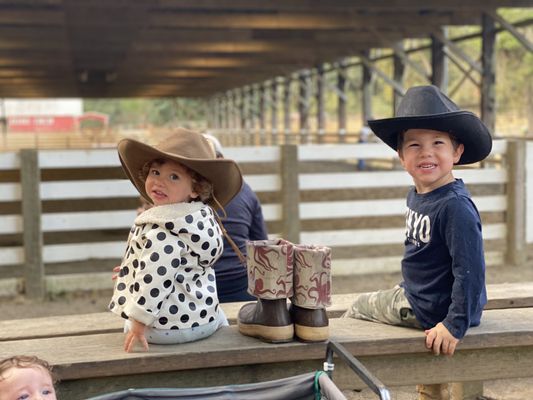 MIRACLE RANCH - Updated September 2025 - 55 Photos & 10 Reviews - 15999 ...