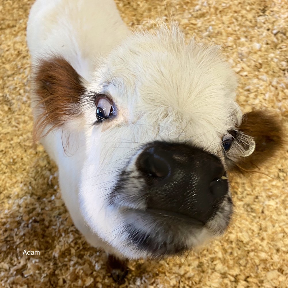 ADAM SEIF PHOTOGRAPHY - Updated October 2025 - Request Information ...