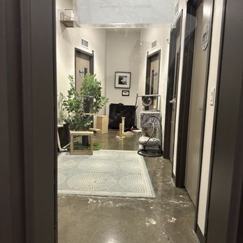 WAG HOTELS - OAKLAND - Updated November 2025 - 190 Photos & 420 Reviews ...