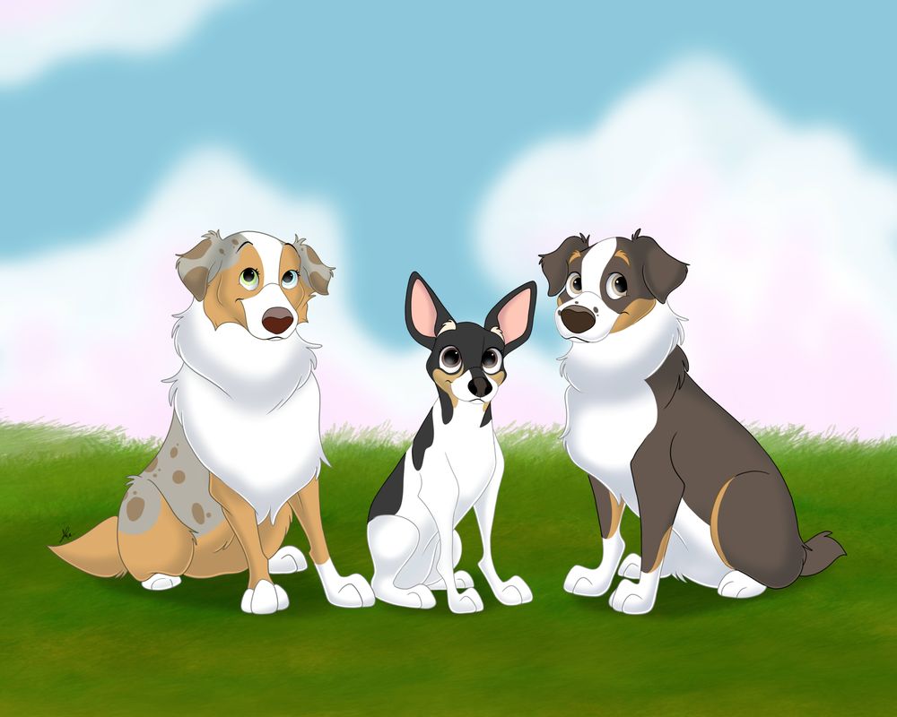 DAISY DOO PET POO REMOVAL - Updated December 2025 - 11 Photos - Warwick, Rhode Island - Pet ...