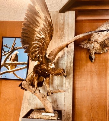 YA’I HEKI’ REGIONAL INDIAN MUSEUM - Updated July 2025 - 84 Photos ...