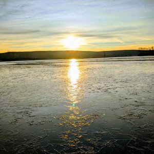 MEACHAM GROVE FOREST PRESERVE - 38 Photos & 14 Reviews - Bloomingdale ...