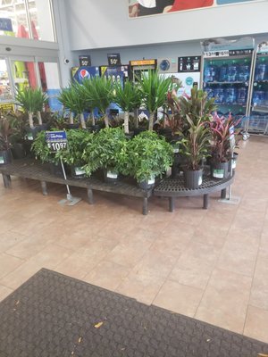 WALMART SUPERCENTER - 10 Photos & 21 Reviews - 1936 N Lecanto Hwy ...