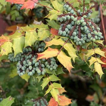 BOUNTIFUL ACRES - Updated January 2026 - 20 Photos & 28 Reviews - 5074 ...