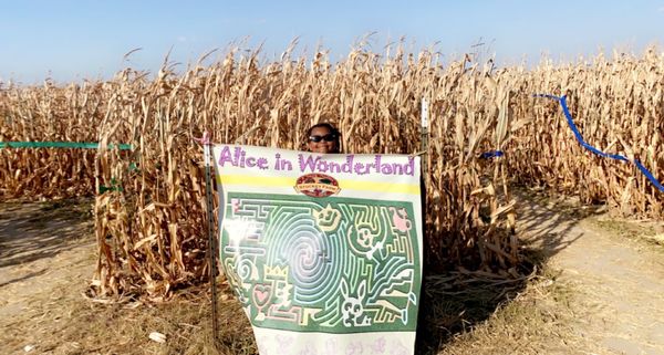 STUCKEY FARM ORCHARD AND CIDER MILL - Updated October 2025 - 195 Photos ...