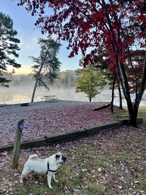 YARBERRY CAMPGROUND - Updated October 2025 - 34 Photos & 14 Reviews ...