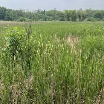 MEMORY LANE STABLES - Updated December 2025 - 168 Photos & 123 Reviews ...